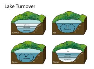 Water and light - Three Lakes Council